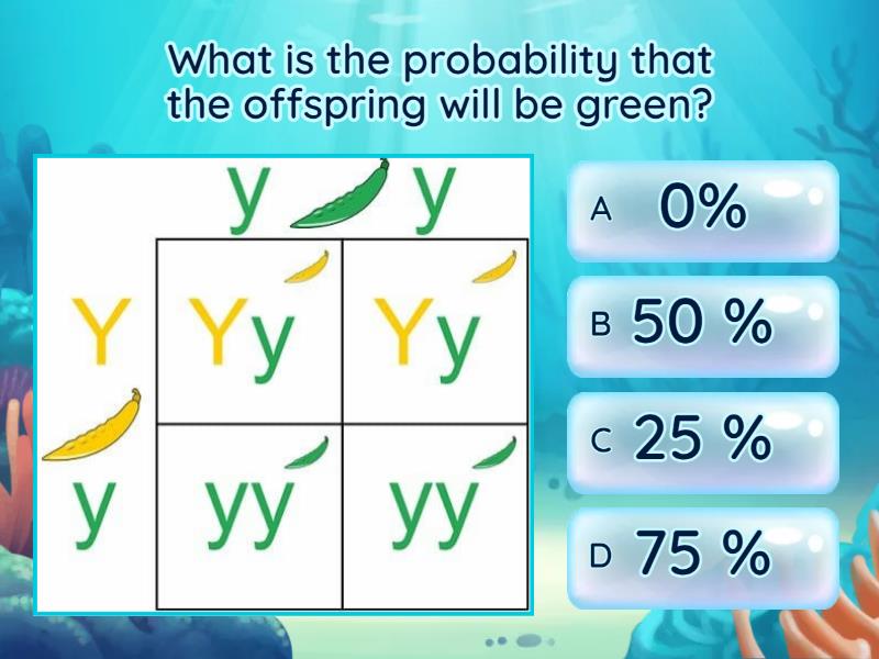 Punnett square- Practice - Quiz
