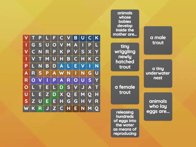 Trout Vocabulary - Wordsearch