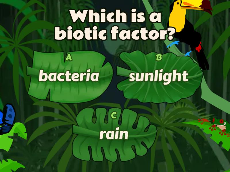 Unit 6: Ecology - Quiz