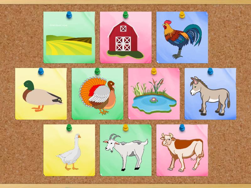 FF1 Farm animals Vocabulary (with audio) - Flip tiles