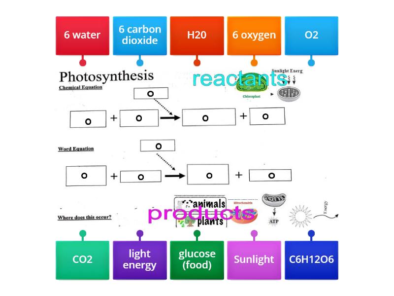 Photosynthesis Equation - Labelled diagram
