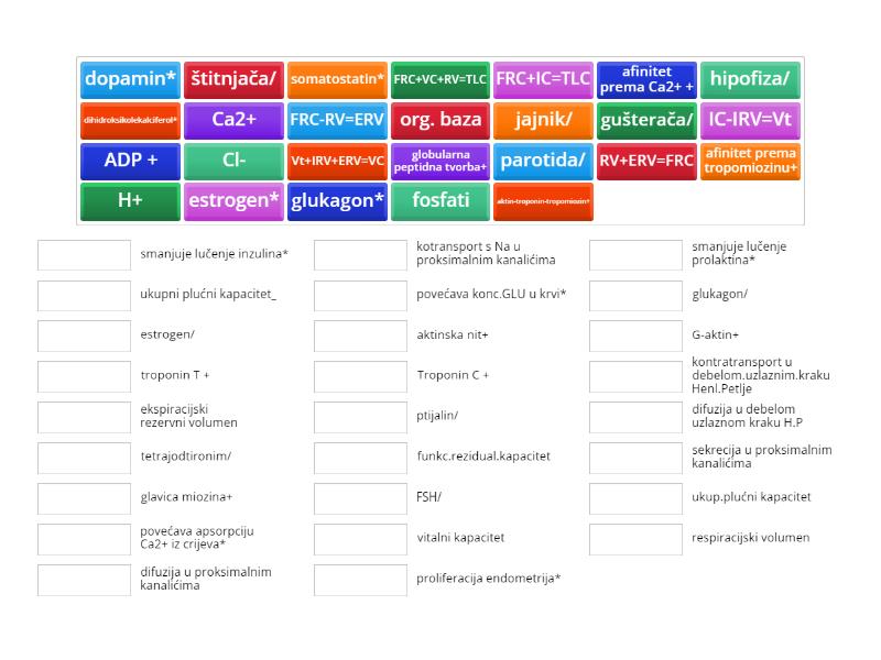 FIZIOLOGIJA IV - Match up