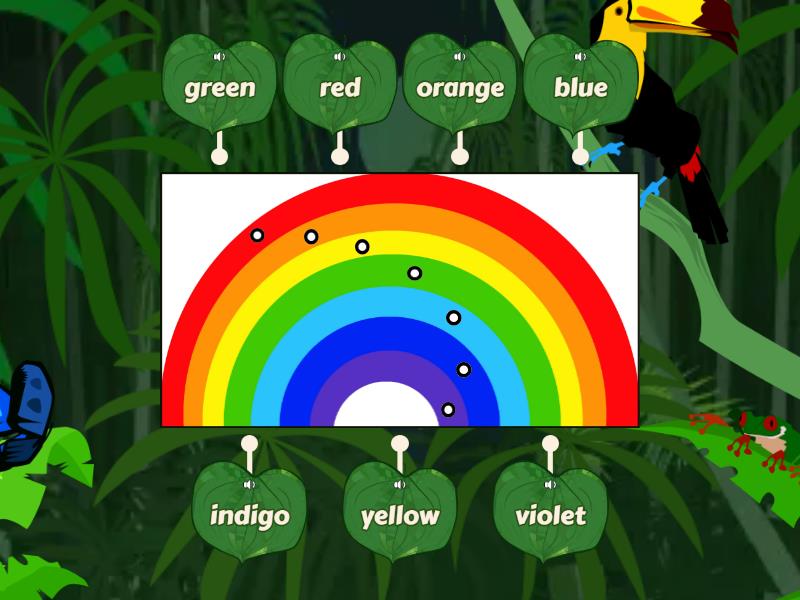 RAINBOW - Labelled diagram