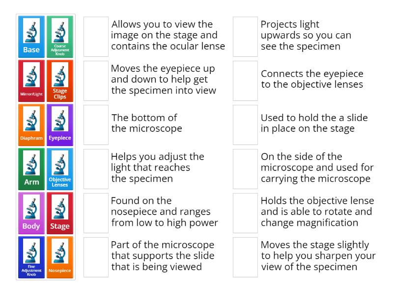 Parts of A Microscope - Match up