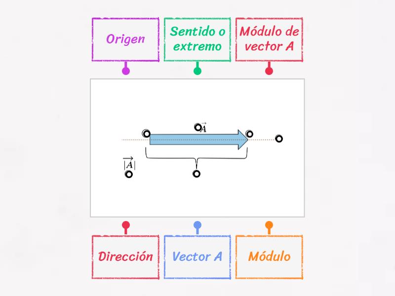 Partes que definen un vector - Labelled diagram