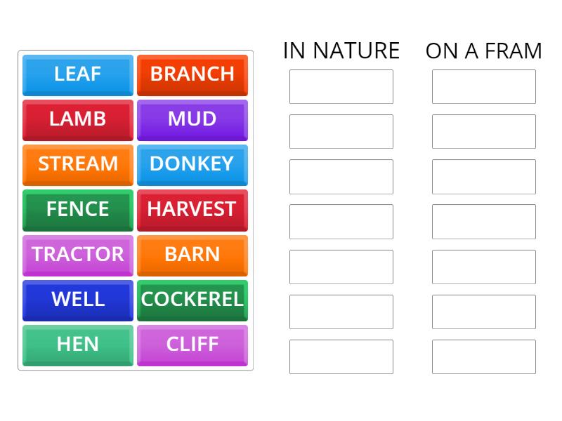 EF B2.1 - U6 : THE COUNTRY - Group sort