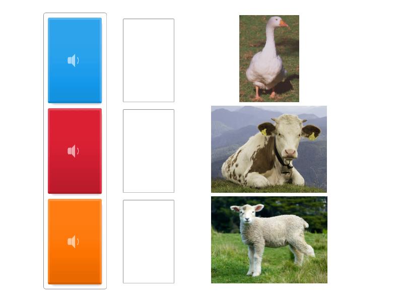 Gli animali della Fattoria - Match up