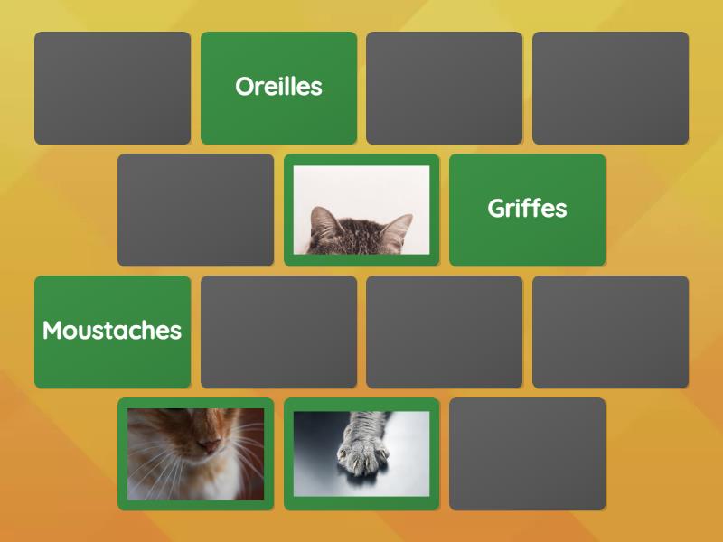 Le chat - Matching pairs