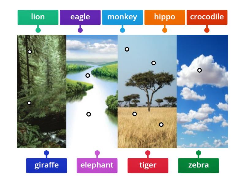 Animal Habitats - Labelled diagram