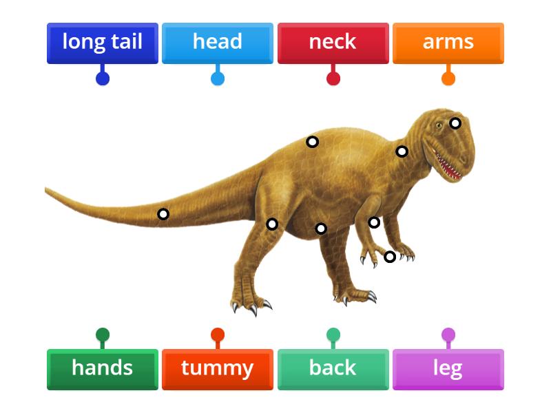 Label the dinosaur - Labelled diagram