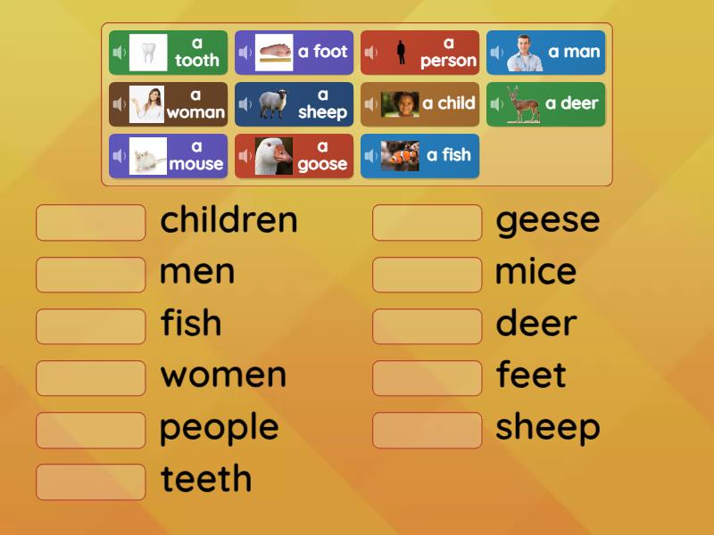 Plural nouns - Match up