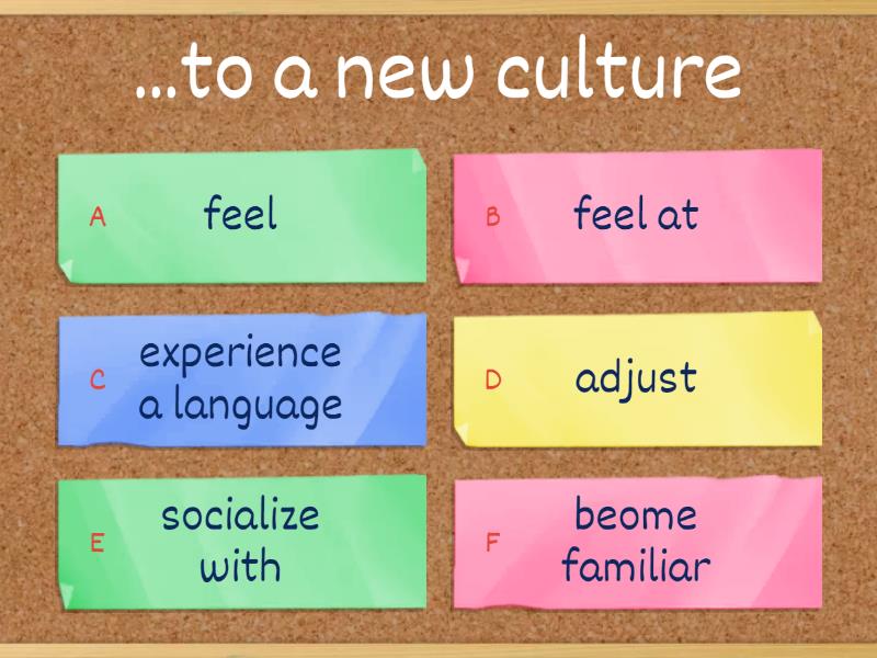 ESL Brains: Culture shock VOCABULARY - Quiz