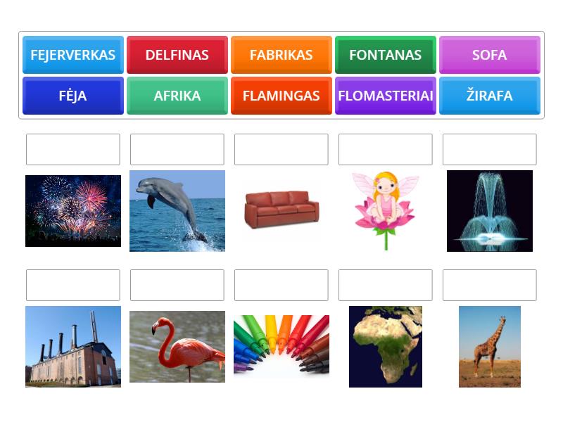 Žodžiai su F raide - Rask tinkamą