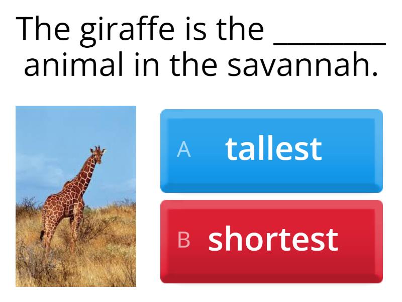 Superlative Animals - Quiz