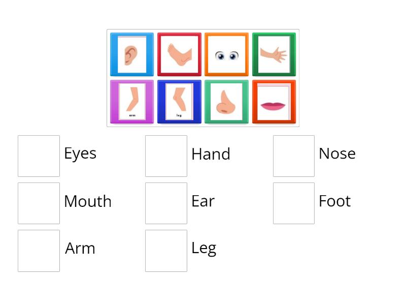 Matching activity - Match up