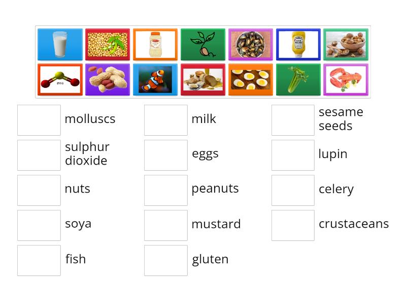 14 Common food allergens - Match up