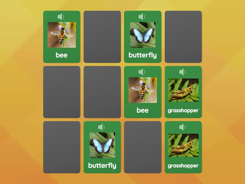 INSECTS memory - Matching pairs