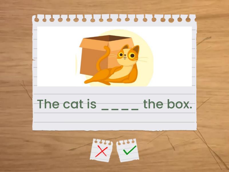 Prepositions of place | The cat & the box - Flash cards