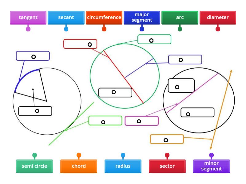 Parts of a Circle - Labelled diagram