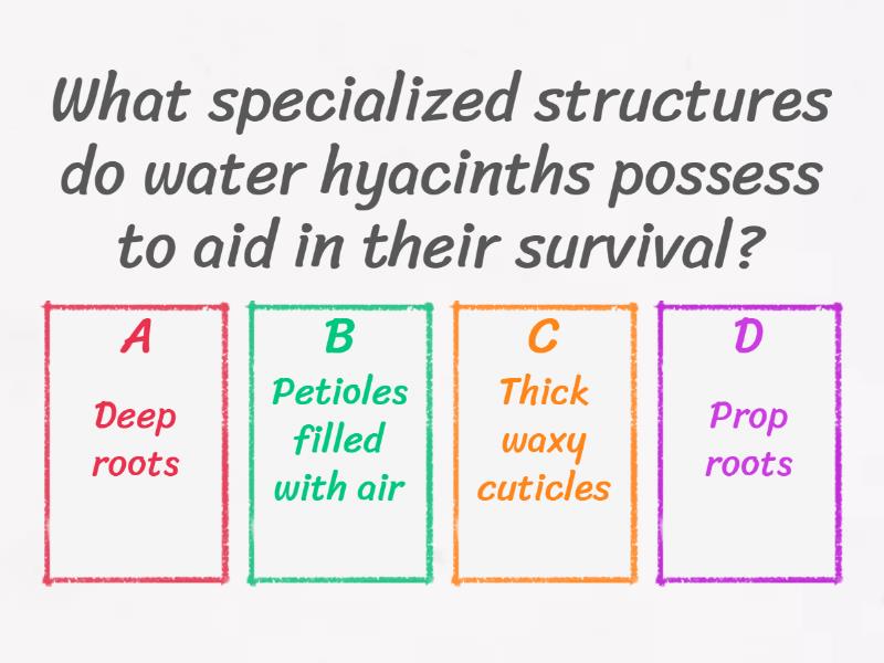 P5 Science - Plant and Animal Adaptation - Quiz
