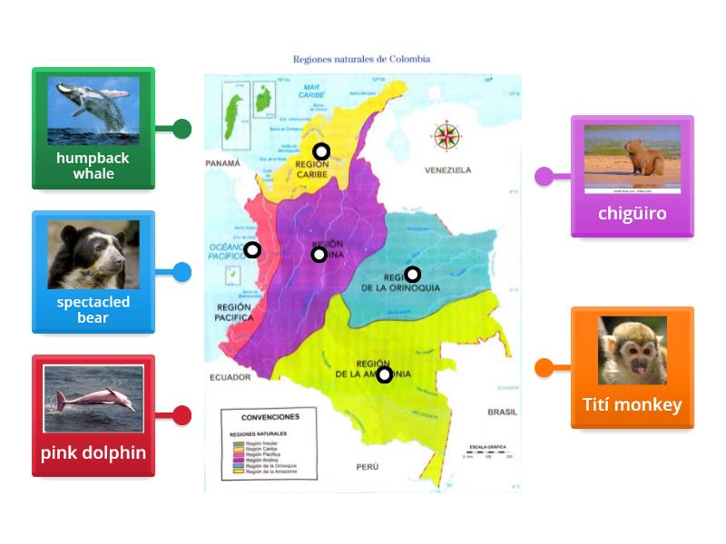 COLOMBIAN BIODIVERSITY - Labelled diagram