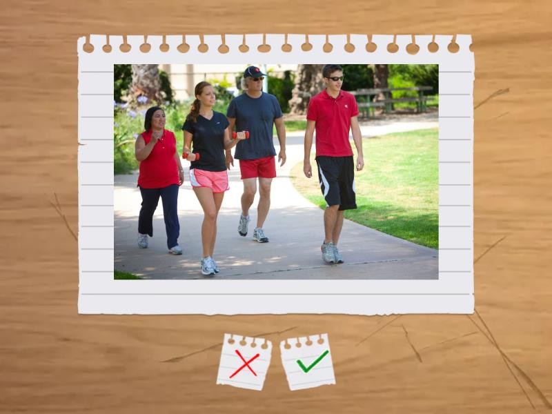 Insight 1D Transport - Flash cards