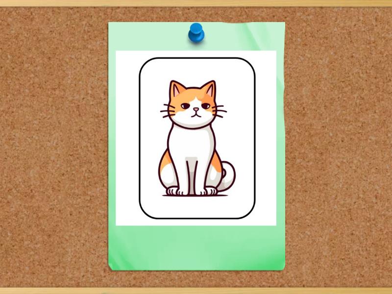 FROM HEAD TO TOE - FLASHCARDS - Flash cards