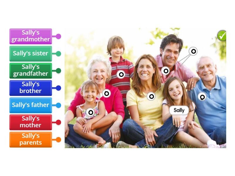 Go Getter 1. Family. Who is who in Sally's family? - Labelled diagram
