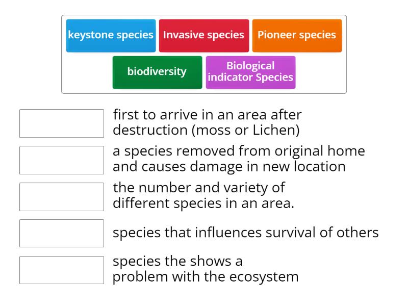 Biodiversity Test - Match up