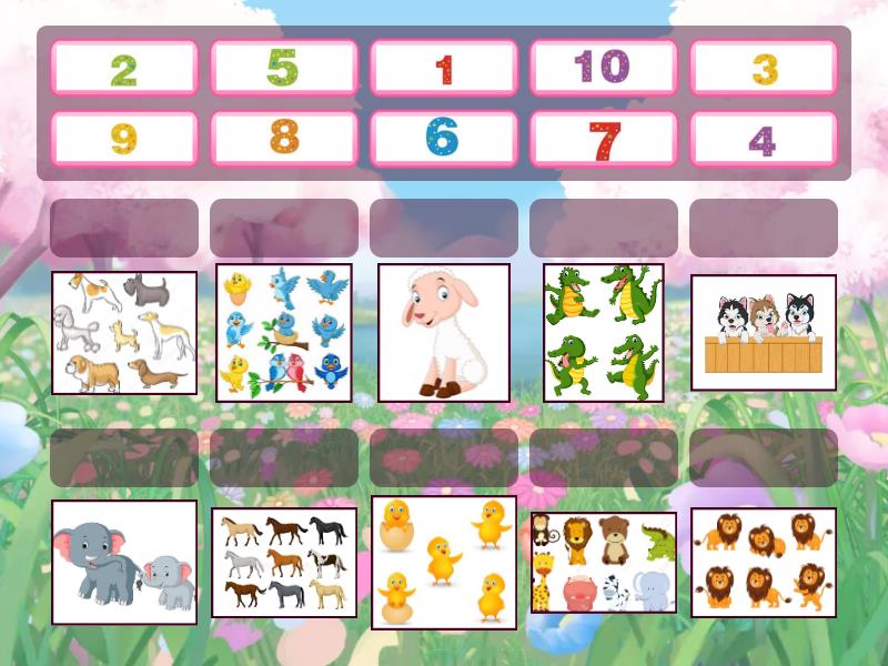 ¡Vamos a contar! - Match up