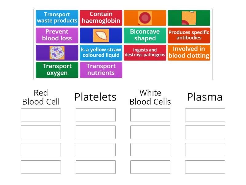 Blood - Group sort