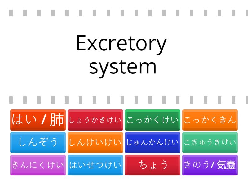 Organs and Body Systems : Japanese to English - Find the match
