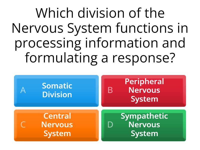 Nervous System - Quiz