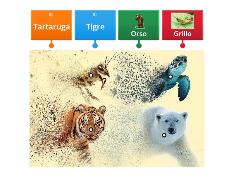 Gli animali - Labelled diagram