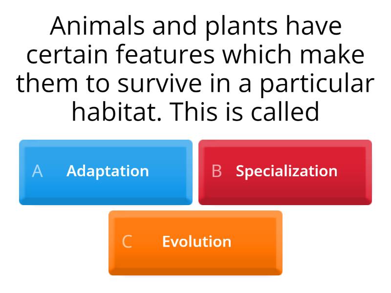 Adaptations Class 6 - Quiz