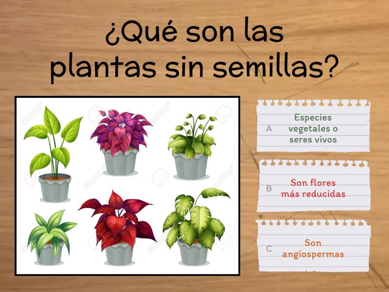 Planta sin semilla - Cuestionario