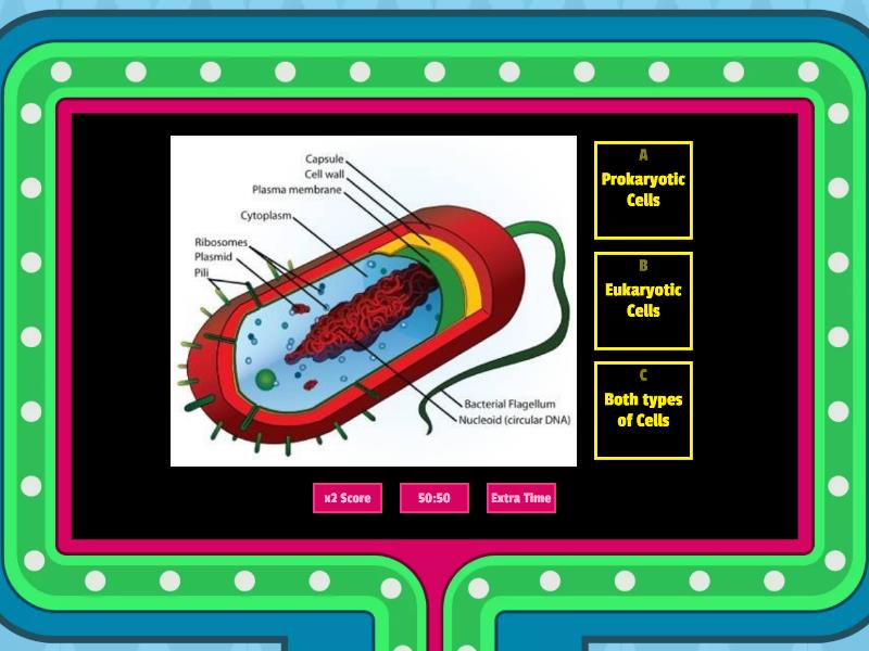 Prokaryotic and Eukaryotic Cells - Gameshow quiz