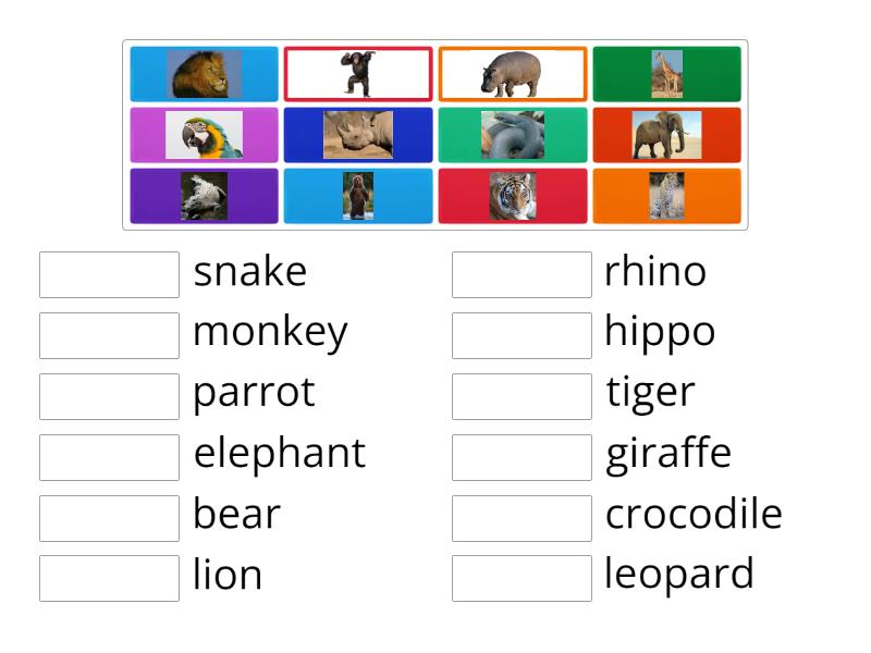 Wild animals - Match up