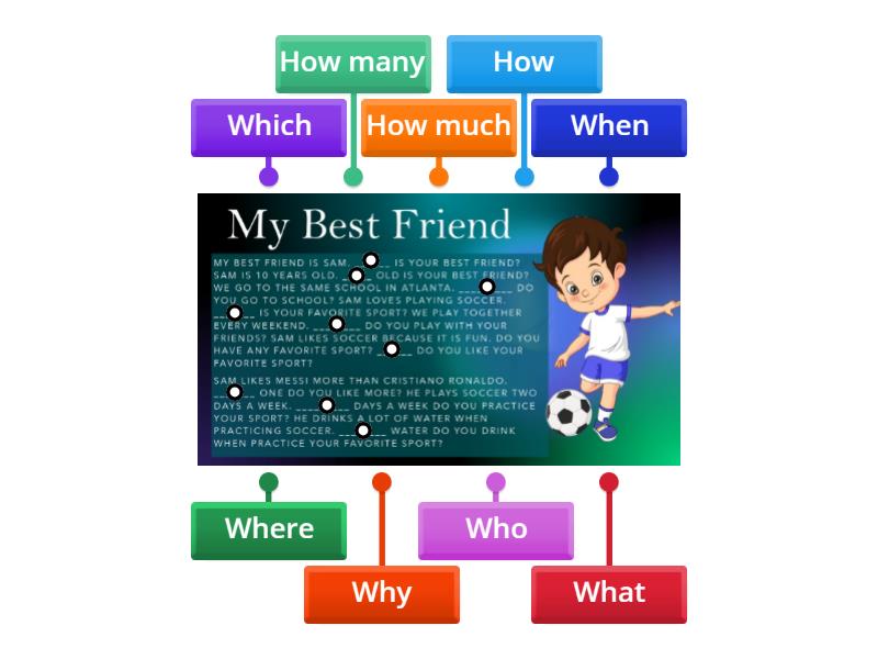 My Best Friend (Wh-questions) - Labelled diagram