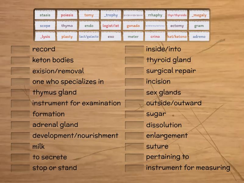 Medical Terminology 3 - Match up