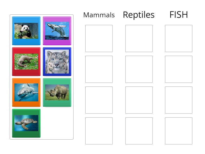 Classify animals - Group sort