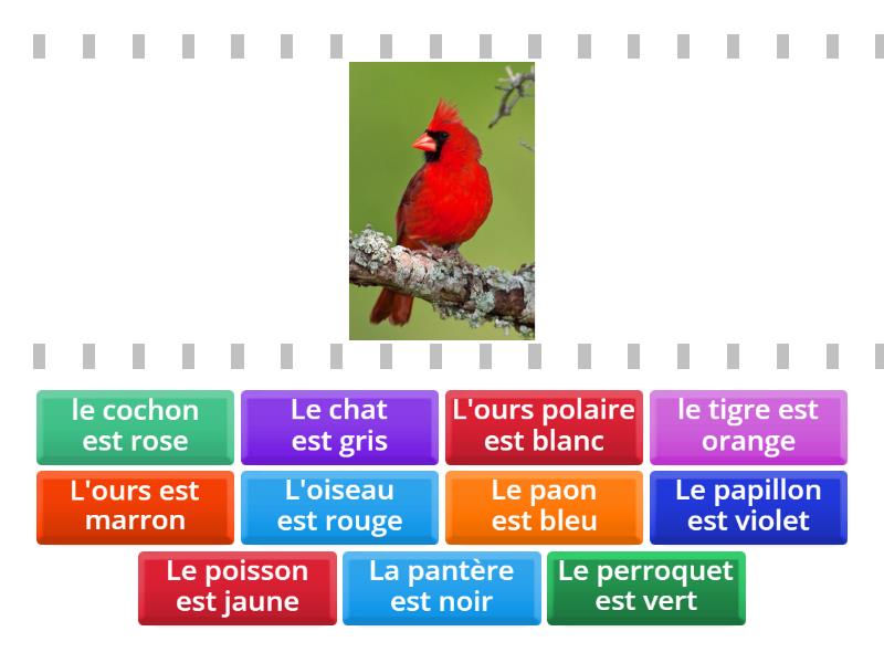 Les couleurs et les animaux - Find the match