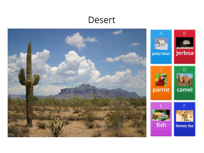 Animal Habitat Match Up - Quiz