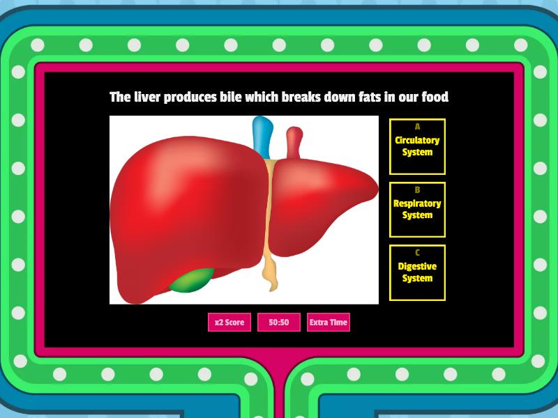 Circulatory vs Respiratory vs Digestive System Quiz - Gameshow quiz