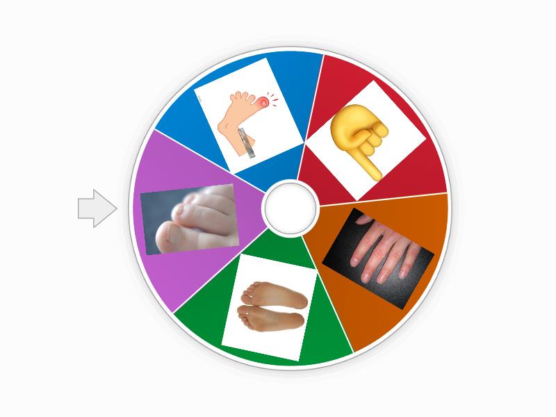 Body parts quay - Spin the wheel