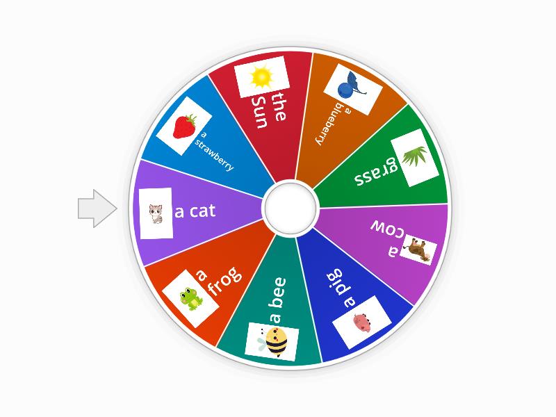 What can you see? - Spin the wheel