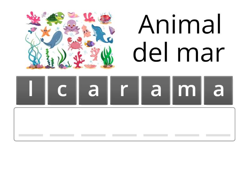 Uso de la "c" - Anagram