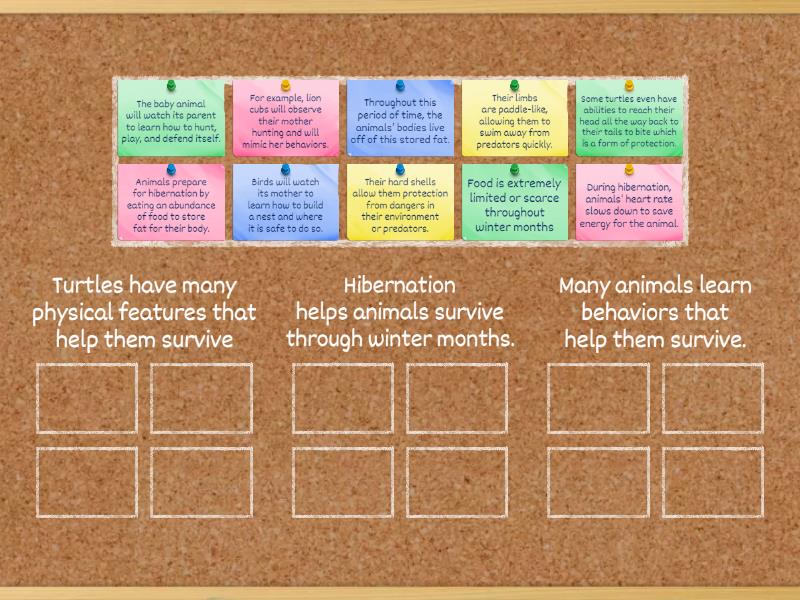 Main Idea and Supporting Statement Sort - Group sort