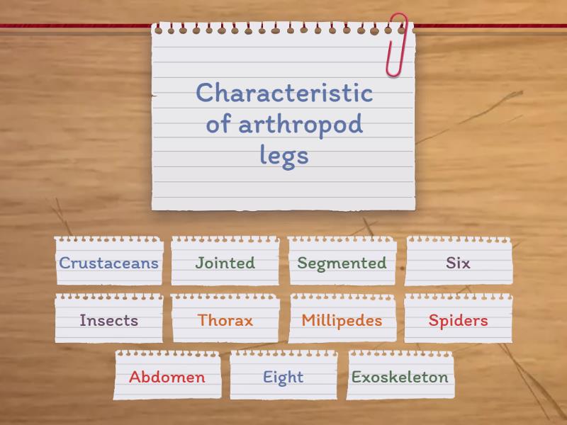 Arthropods - Find the match