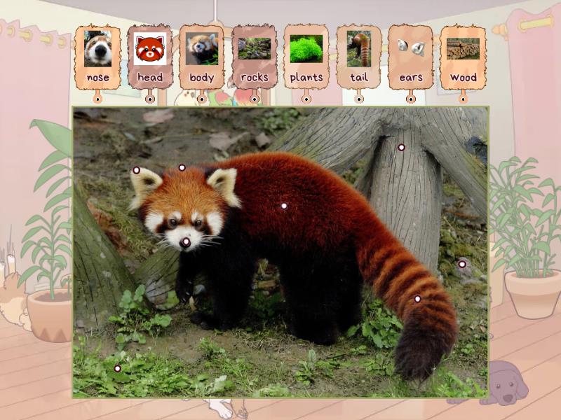 red panda body - Labelled diagram